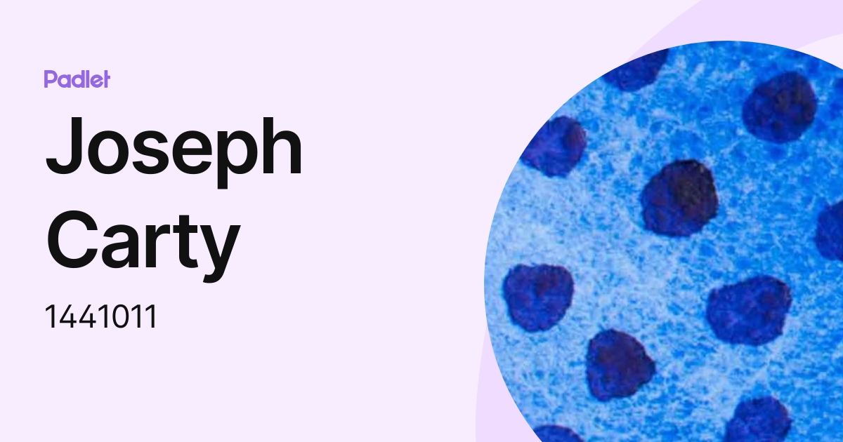 Joseph Carty (1441011) profile | Padlet