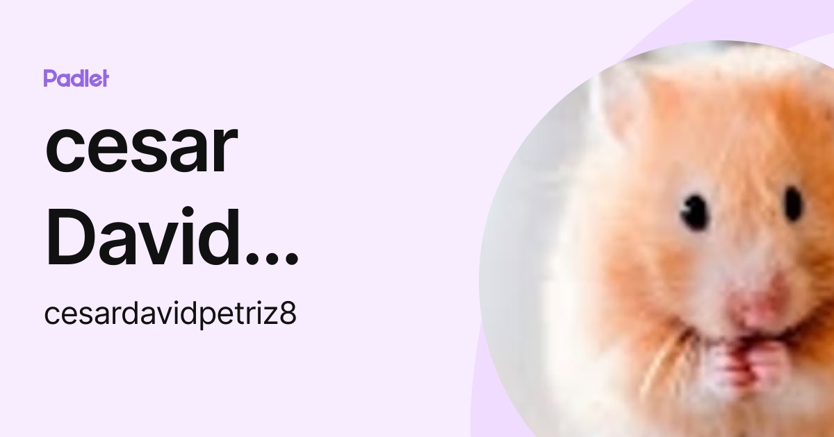 cesar David petriz Juarez (cesardavidpetriz8) profile | Padlet