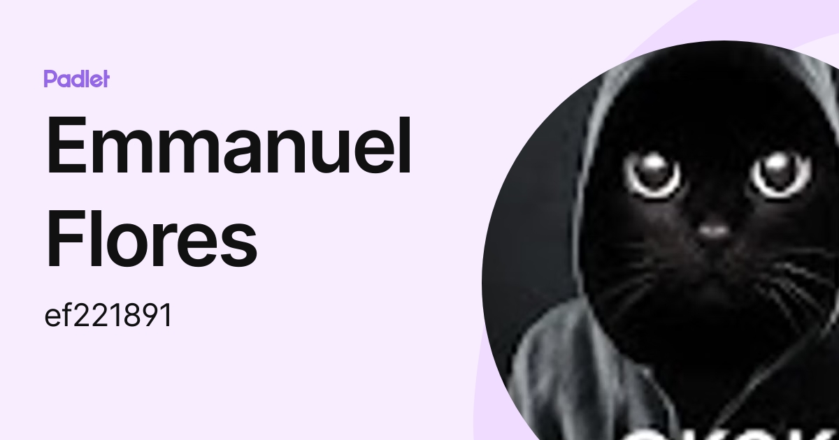Emmanuel Flores (ef221891) profile | Padlet