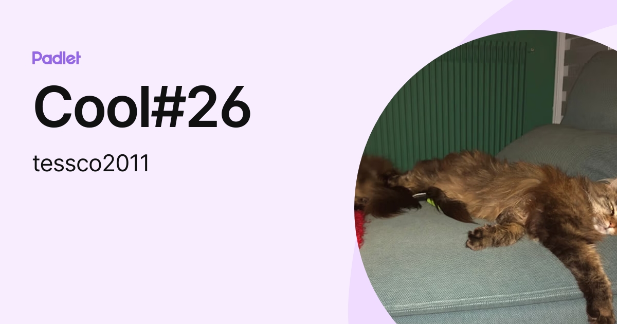 Cool#26 (tessco2011) profile | Padlet