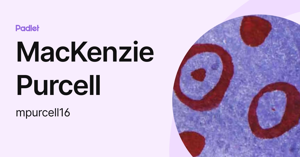 MacKenzie Purcell (mpurcell16) profile | Padlet