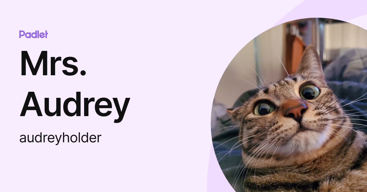 Mrs. Audrey (audreyholder) profile | Padlet
