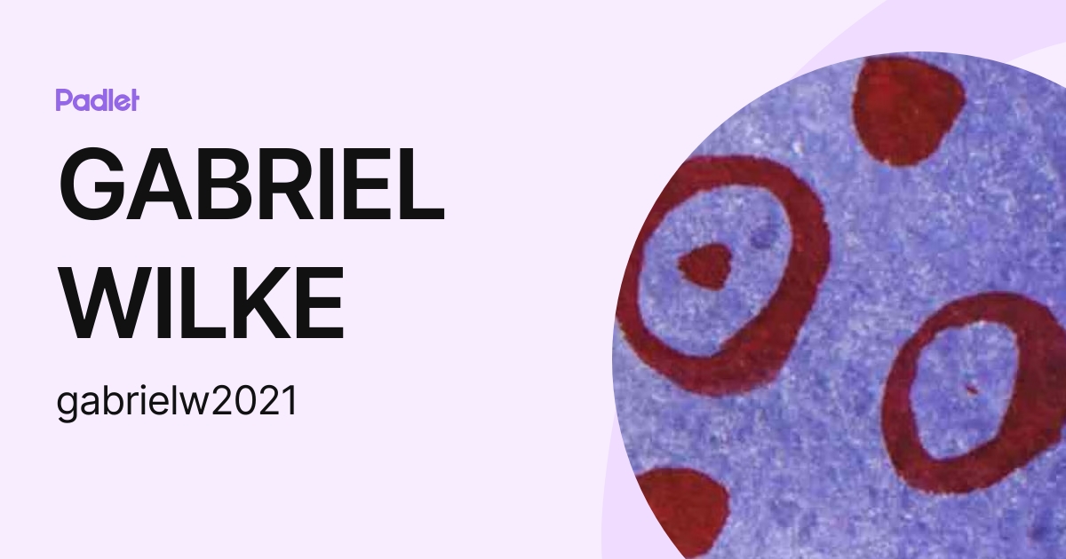 GABRIEL WILKE (gabrielw2021) profile | Padlet