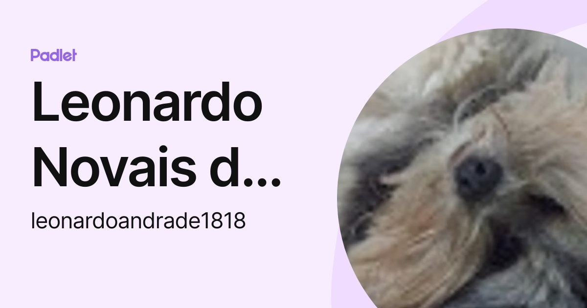 Leonardo Novais de Andrade (leonardoandrade1818) profile | Padlet