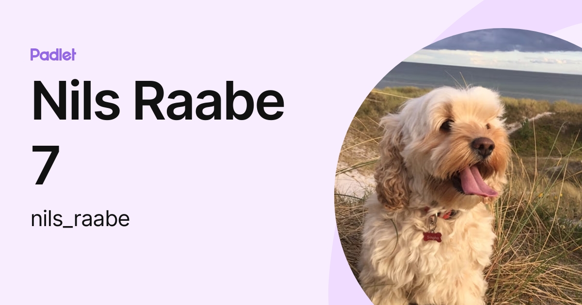 Nils Raabe 7 (nils_raabe) profile | Padlet