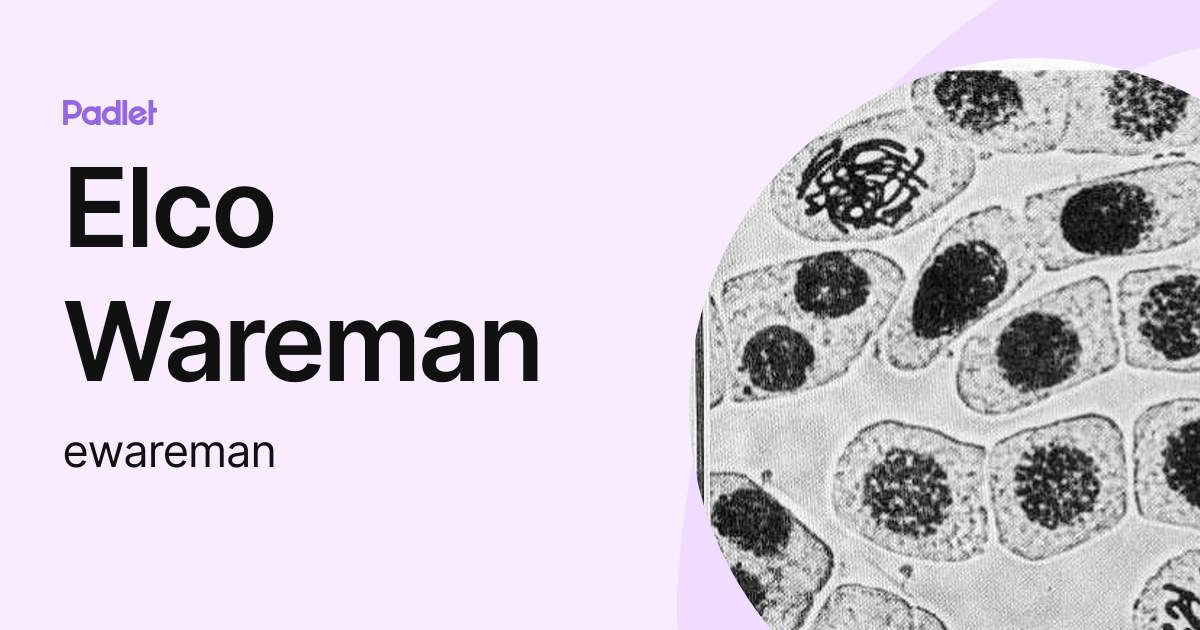 Elco Wareman (ewareman) profile | Padlet