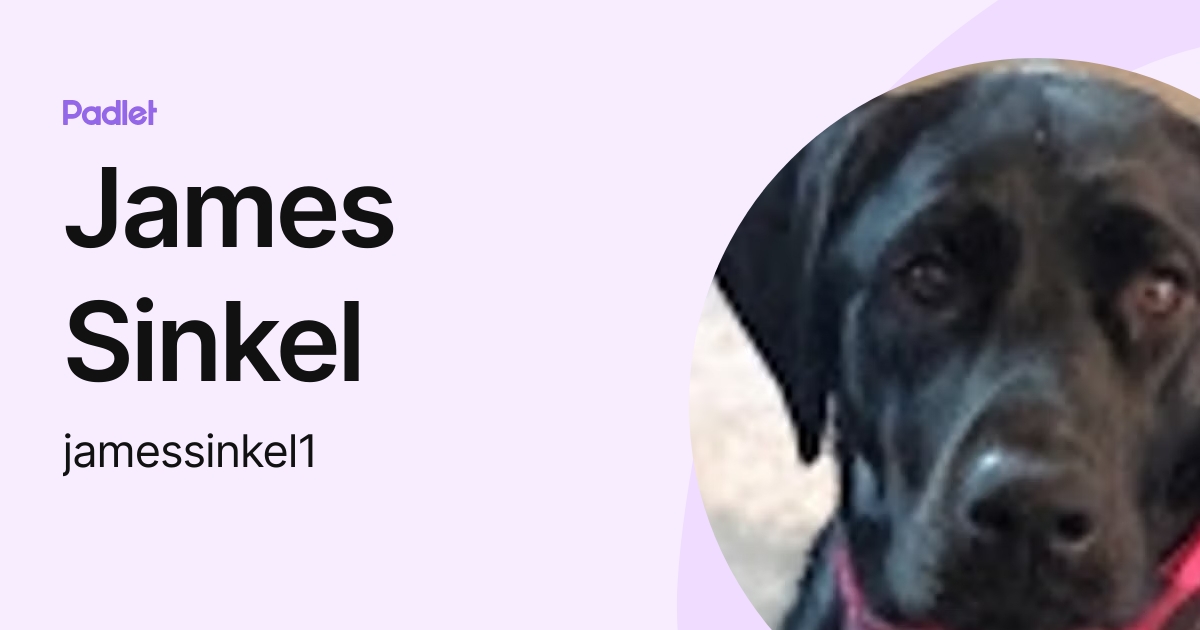 James Sinkel (jamessinkel1) profile | Padlet