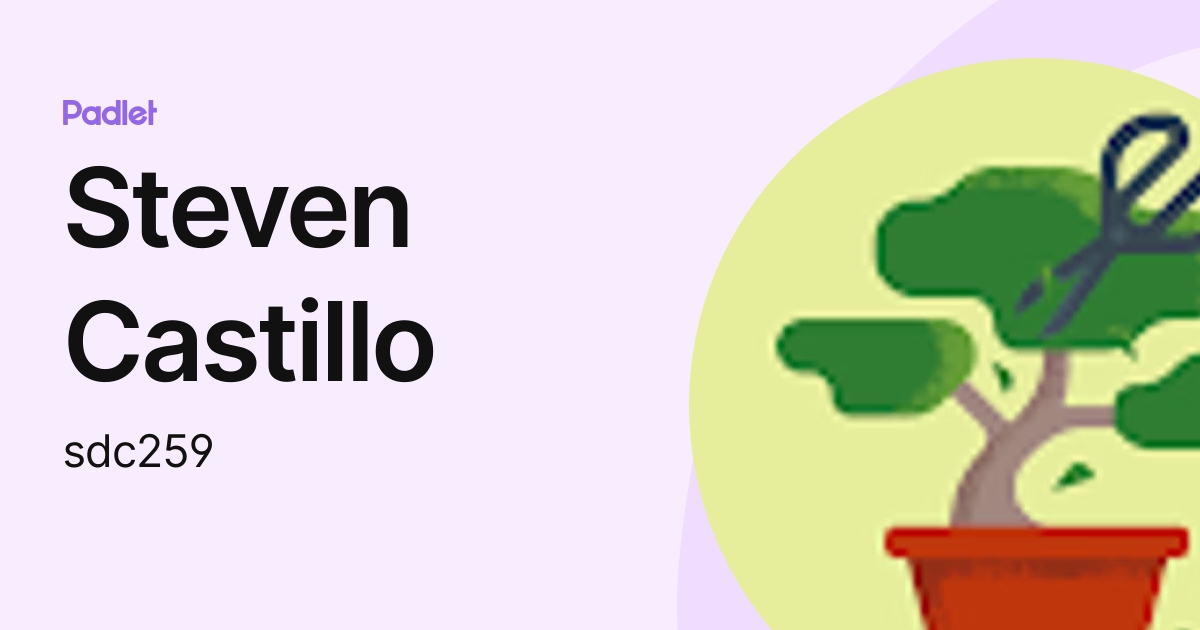 Steven Castillo (sdc259) profile | Padlet