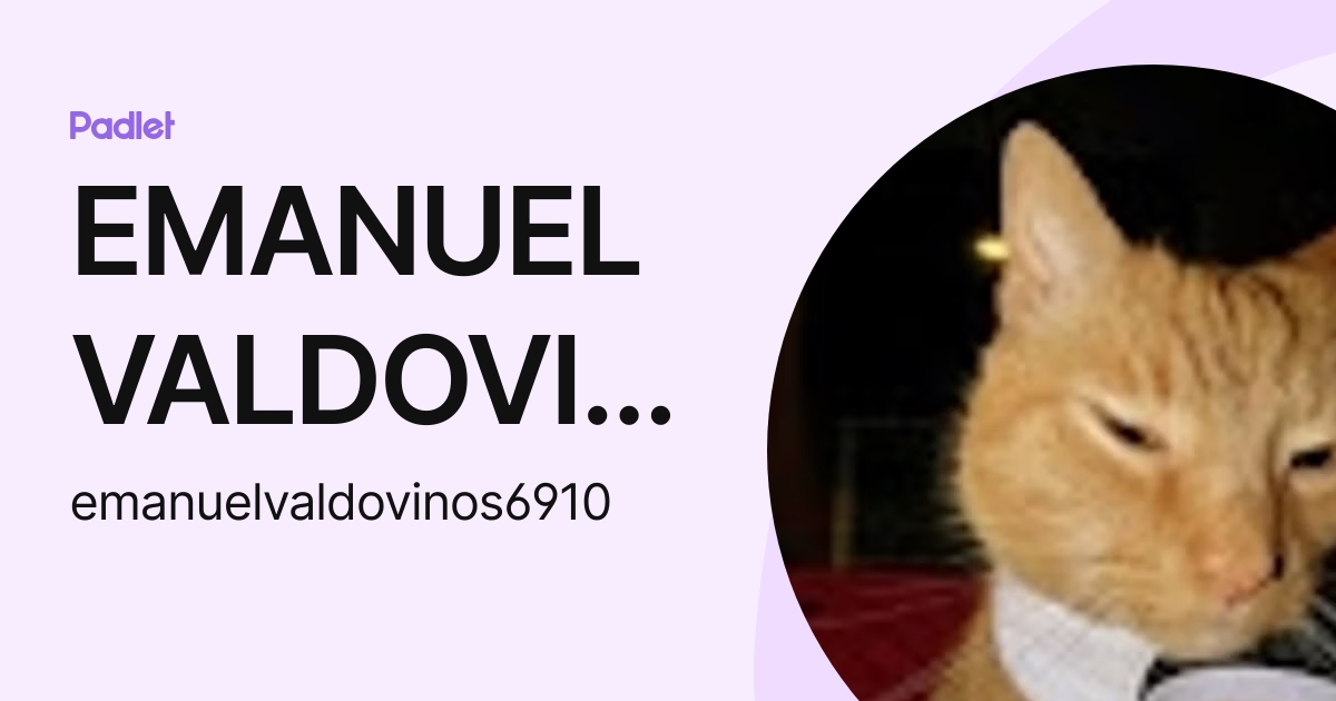 EMANUEL VALDOVINOS PELAYO (emanuelvaldovinos6910) profile | Padlet