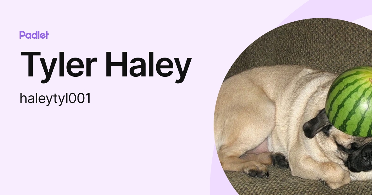Tyler Haley (haleytyl001) profile | Padlet