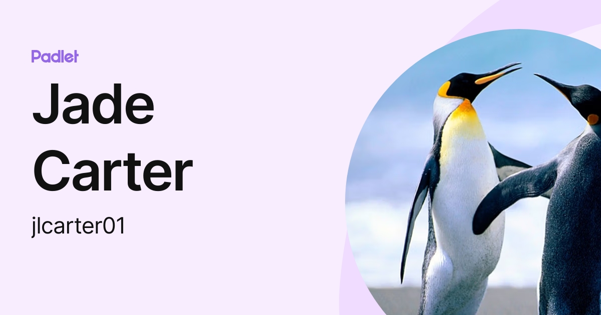 Jade Carter (jlcarter01) profile | Padlet