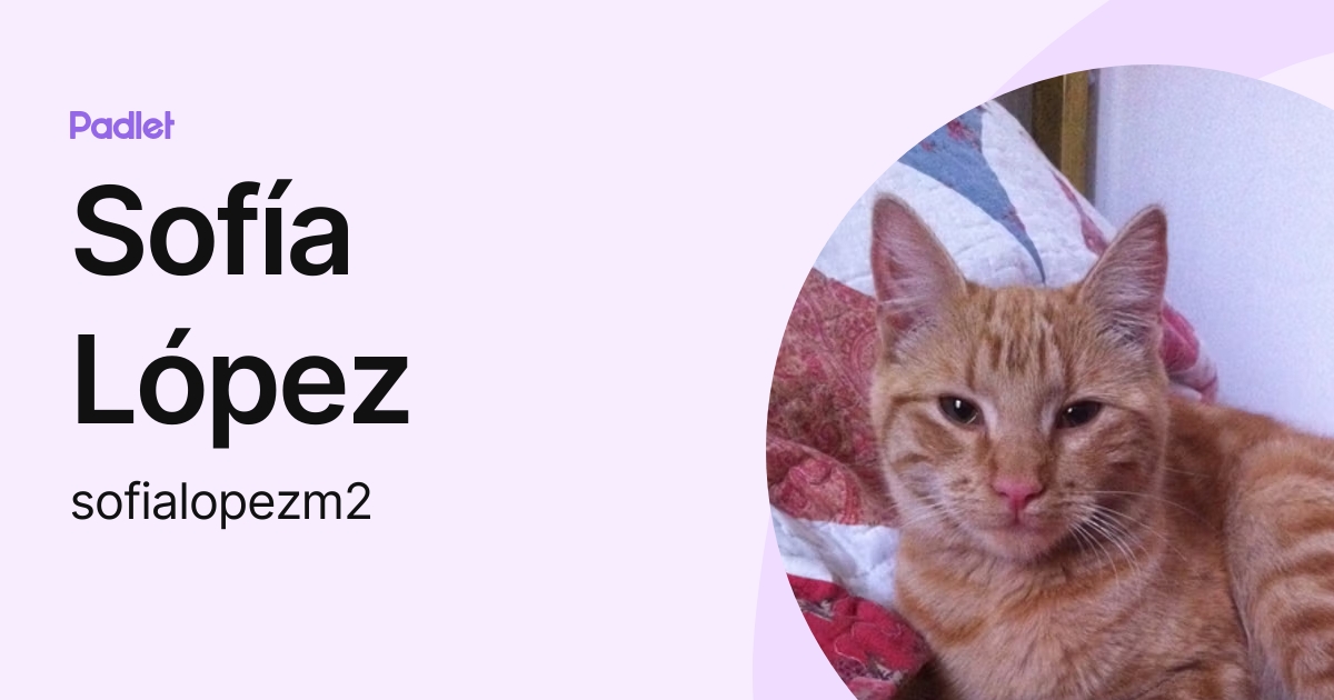 Sofía López (sofialopezm2) profile | Padlet
