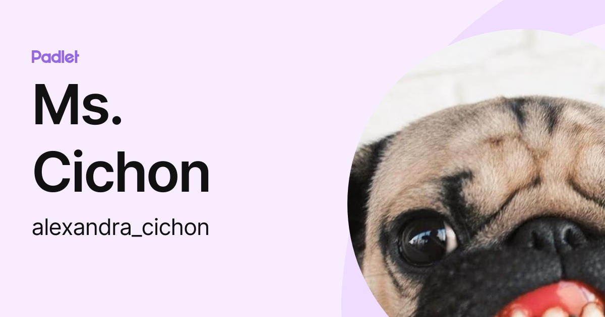 Ms. Cichon (alexandra_cichon) profile | Padlet