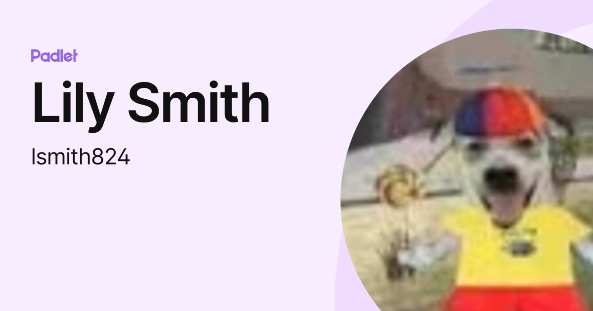 Lily Smith (lsmith824) profile | Padlet