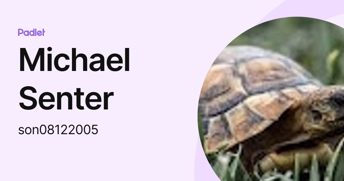 Michael Senter (son08122005) profile | Padlet