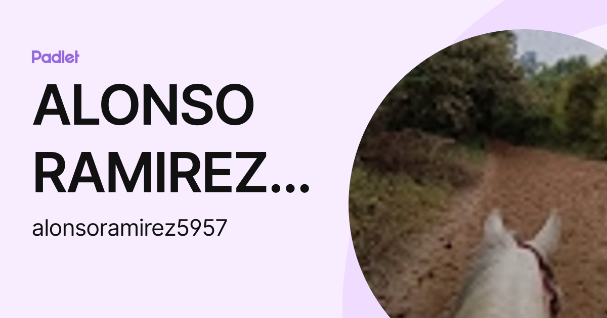 ALONSO RAMIREZ VALADEZ (alonsoramirez5957) profile | Padlet