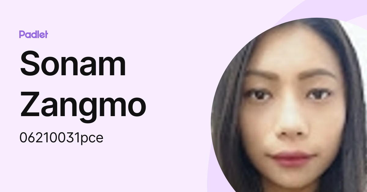 Sonam Zangmo (06210031pce) profile | Padlet