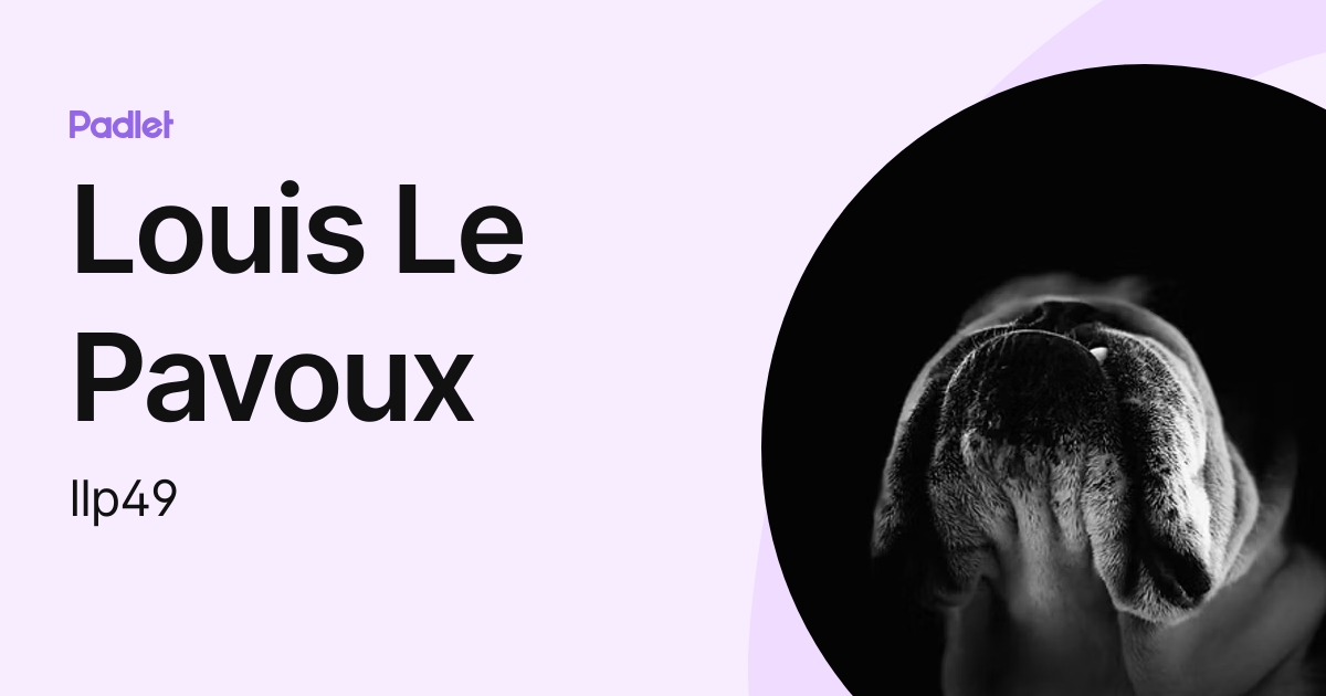 Profil de Louis Le Pavoux (llp49) | Padlet