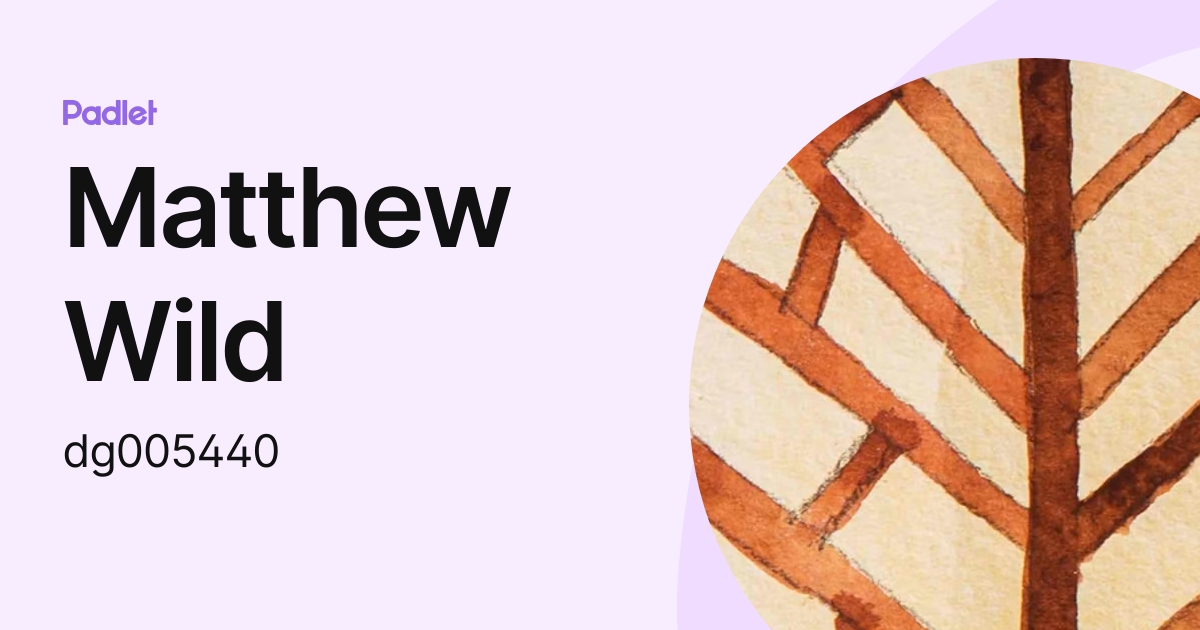 Matthew Wild (dg005440) profile | Padlet