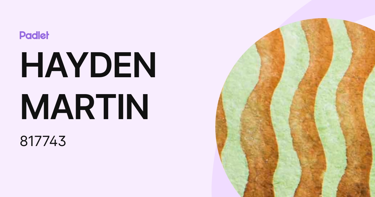 HAYDEN MARTIN (817743) profile | Padlet