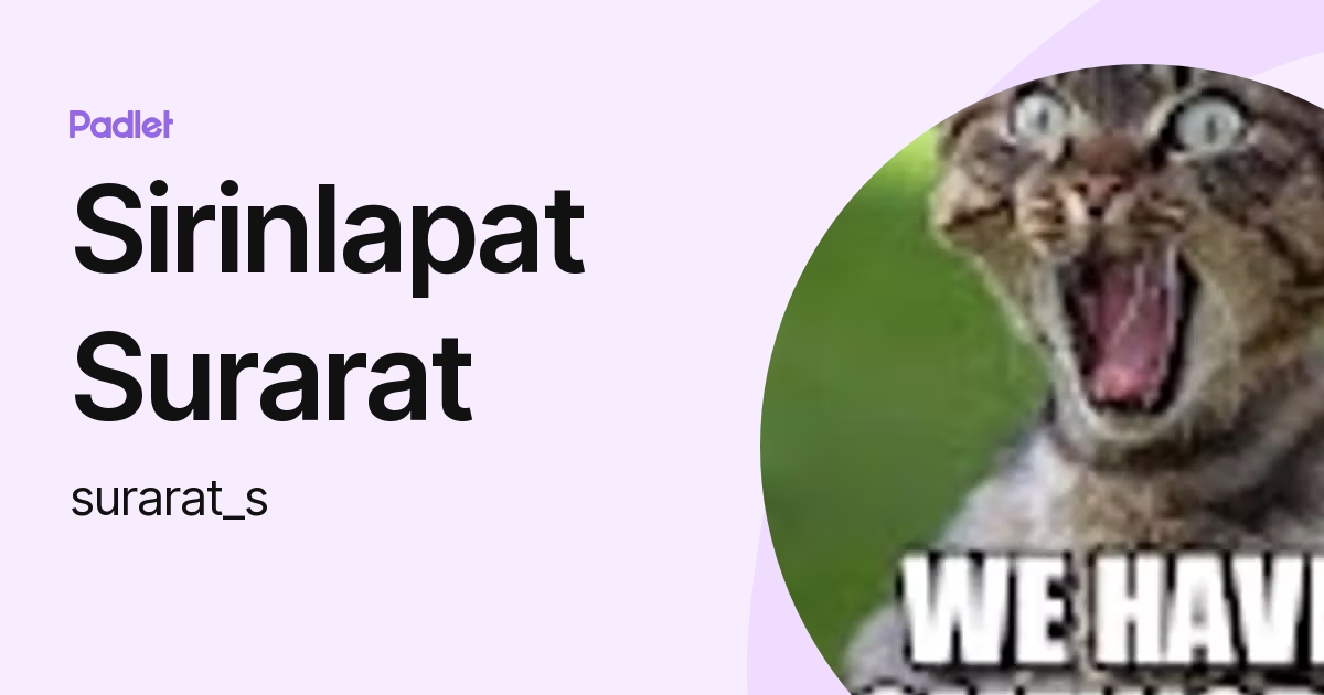 Sirinlapat Surarat (surarat_s) profile | Padlet