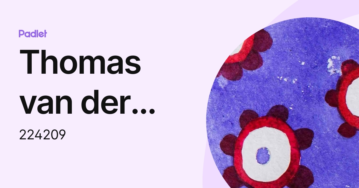 Thomas van der Haar (224209) profile | Padlet