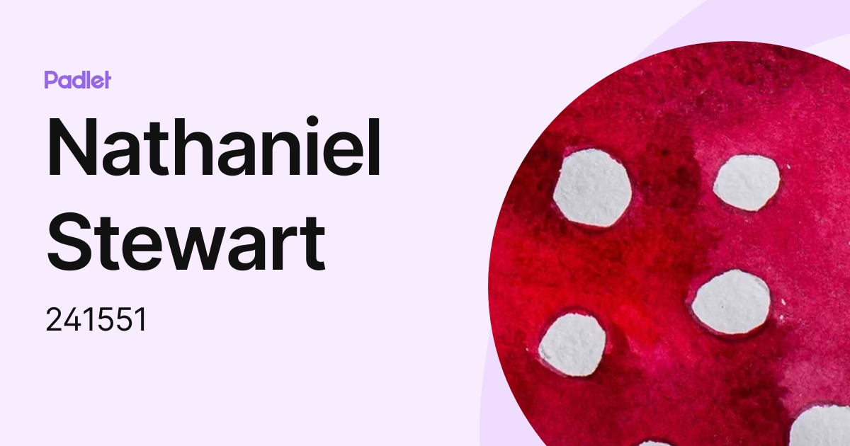 Nathaniel Stewart (241551) profile | Padlet