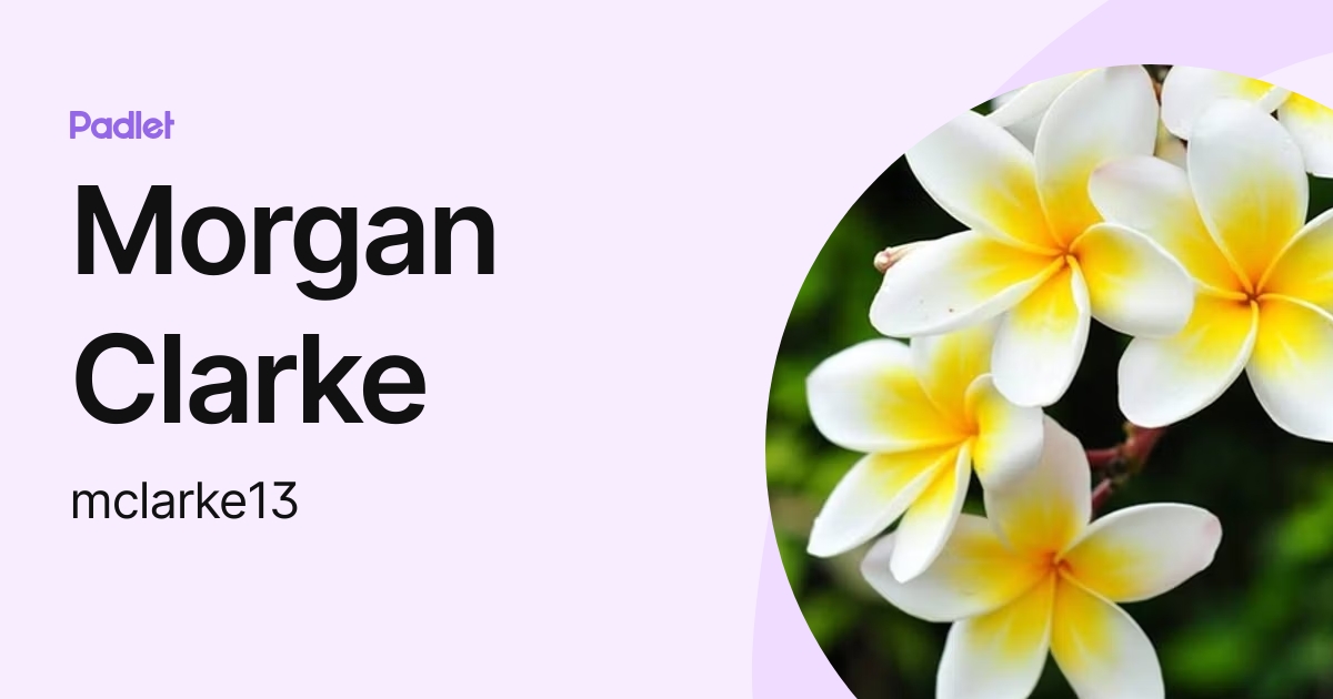 Morgan Clarke (mclarke13) profile | Padlet