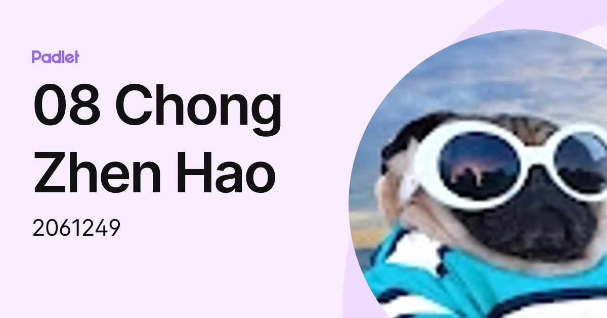 08 Chong Zhen Hao (2061249) profile | Padlet