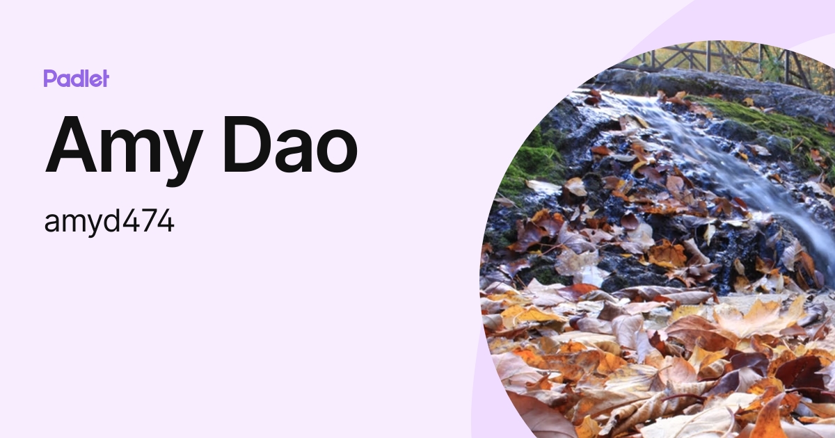Amy Dao (amyd474) profile | Padlet