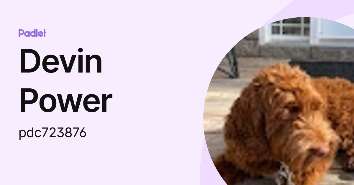 Devin Power (pdc723876) profile | Padlet