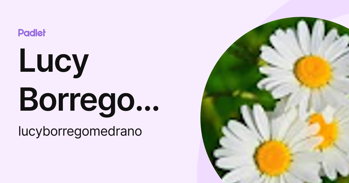 Lucy Borrego Medrano (lucyborregomedrano) perfil | Padlet