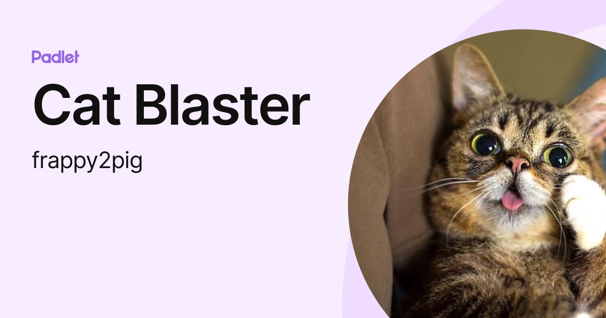Cat Blaster (frappy2pig) profile | Padlet