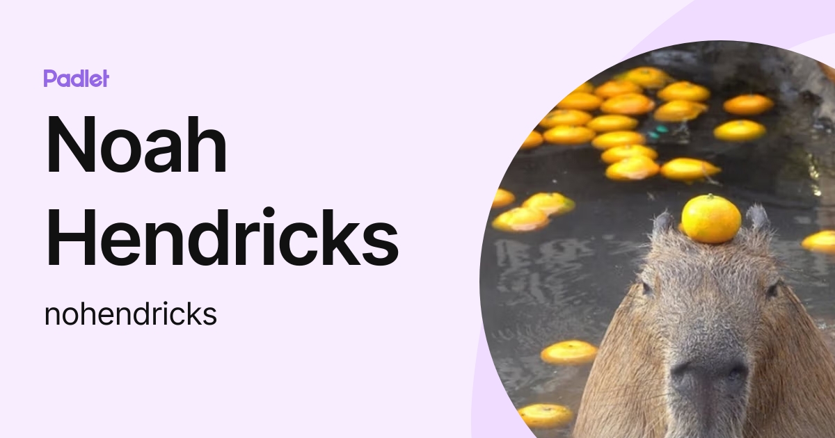 Noah Hendricks (nohendricks) profile | Padlet