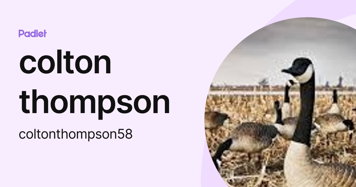colton thompson (coltonthompson58) profile | Padlet