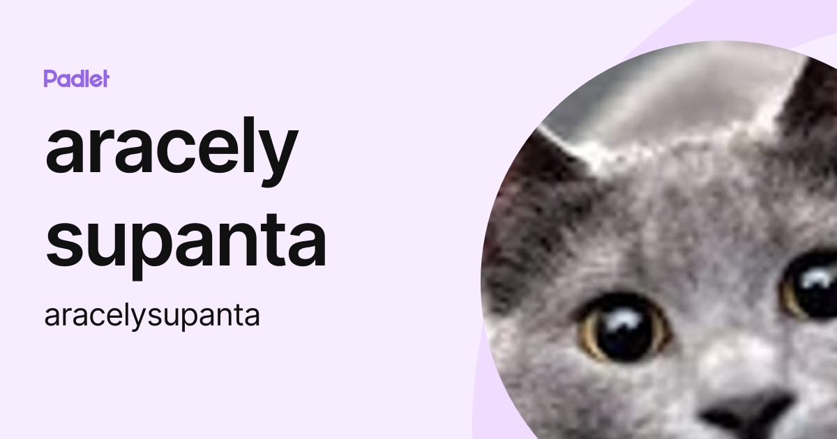 aracely supanta (aracelysupanta) profile | Padlet
