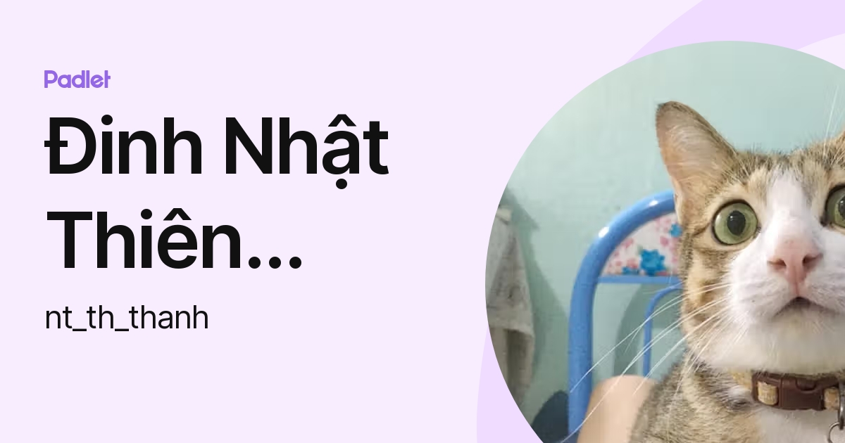 Đinh Nhật Thiên Thanh (nt_th_thanh) profile | Padlet