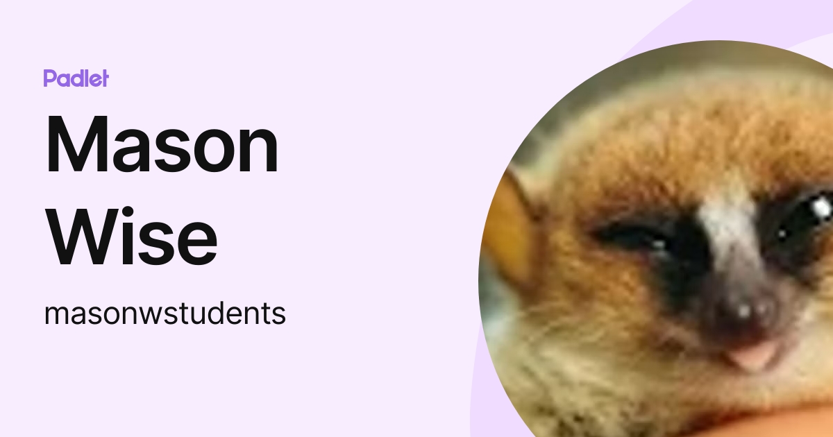 Mason Wise (masonwstudents) profile | Padlet