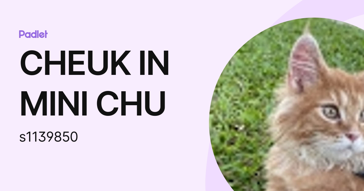 CHEUK IN MINI CHU (s1139850) profile | Padlet