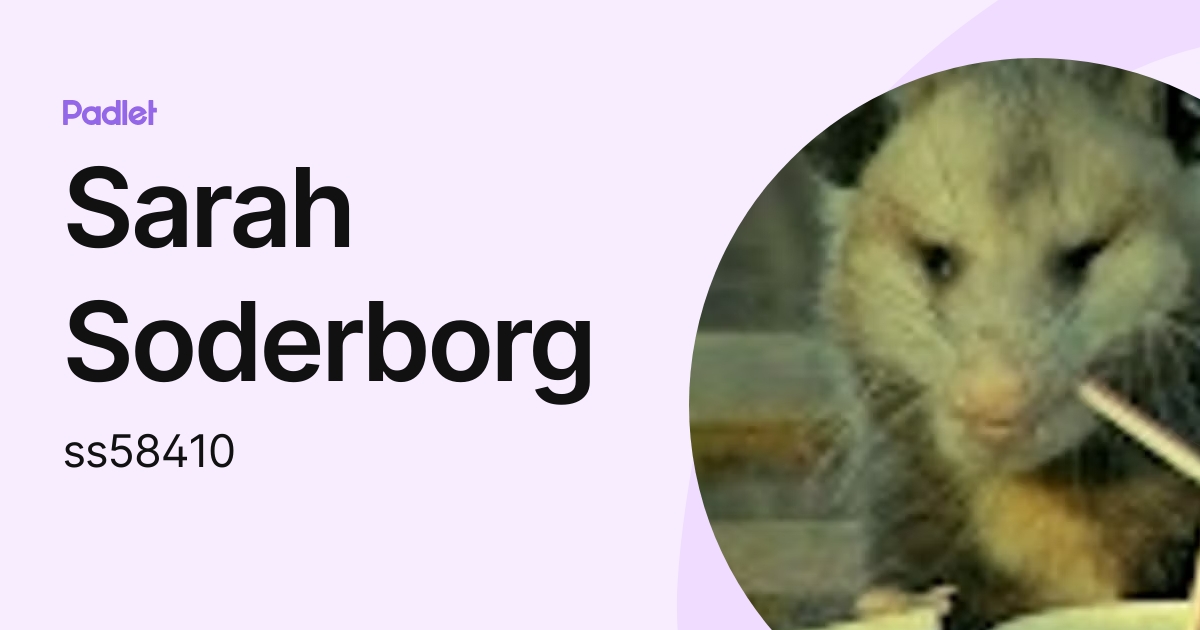 Sarah Soderborg (ss58410) profile | Padlet