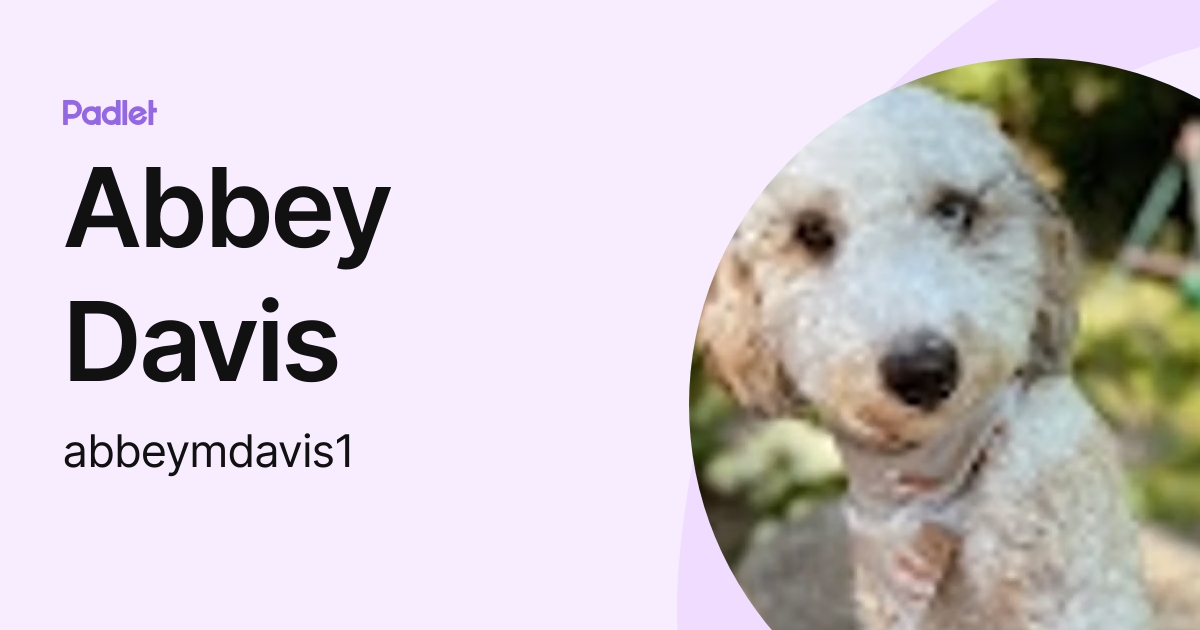 Abbey Davis (abbeymdavis1) profile | Padlet