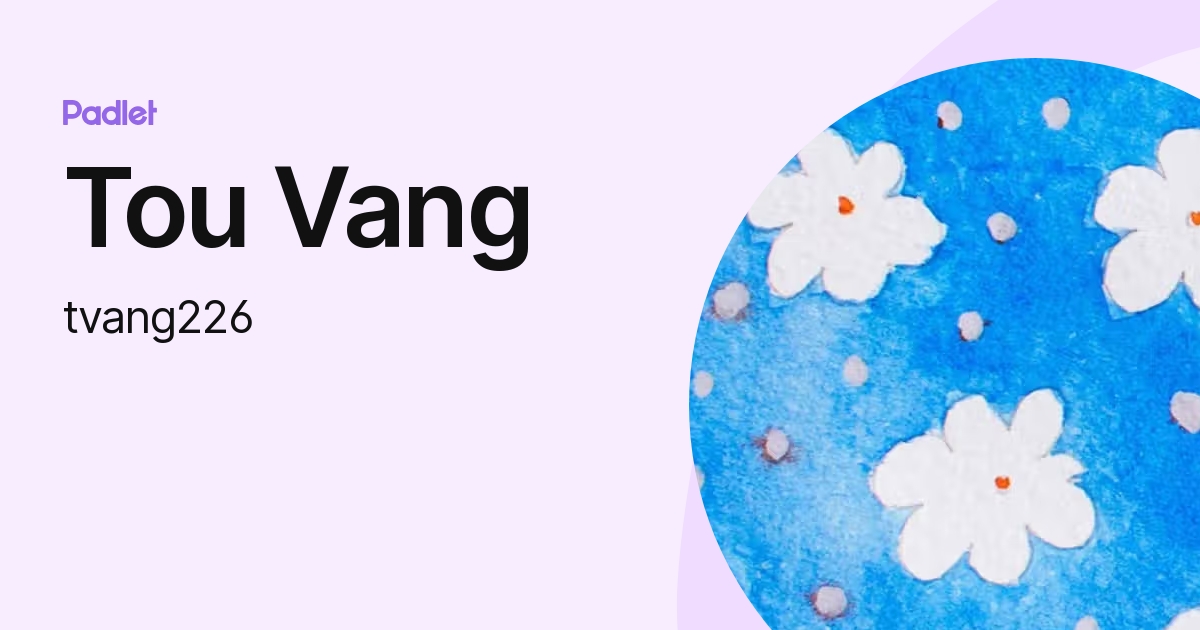 Tou Vang (tvang226) profile | Padlet