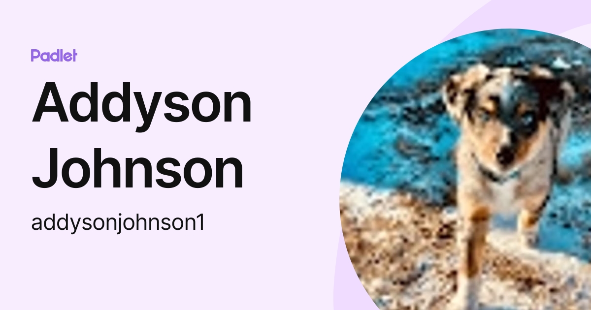 Addyson Johnson (addysonjohnson1) profile | Padlet
