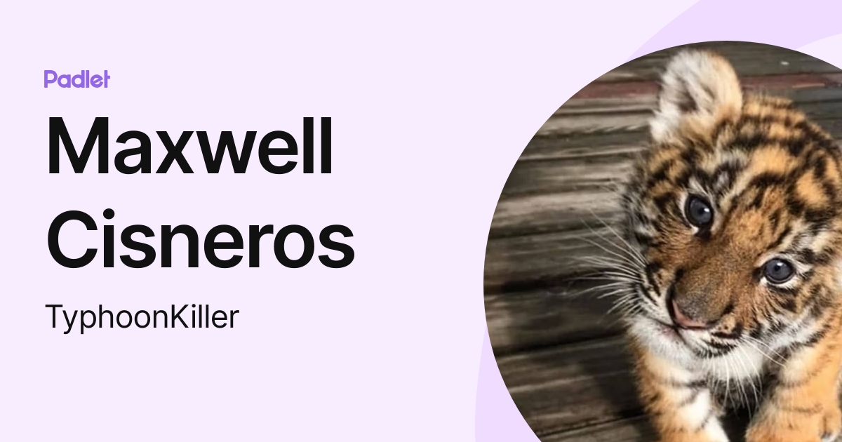 Maxwell Cisneros (TyphoonKiller) profile | Padlet