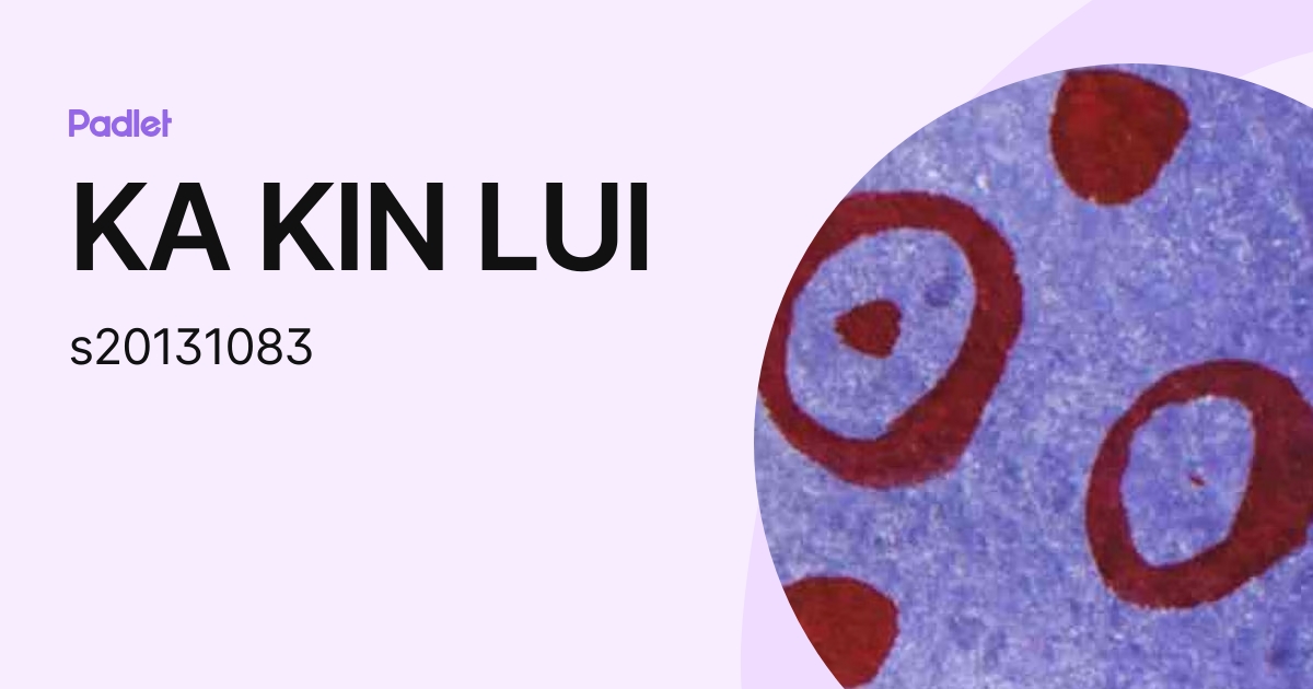 KA KIN LUI (s20131083) profile | Padlet