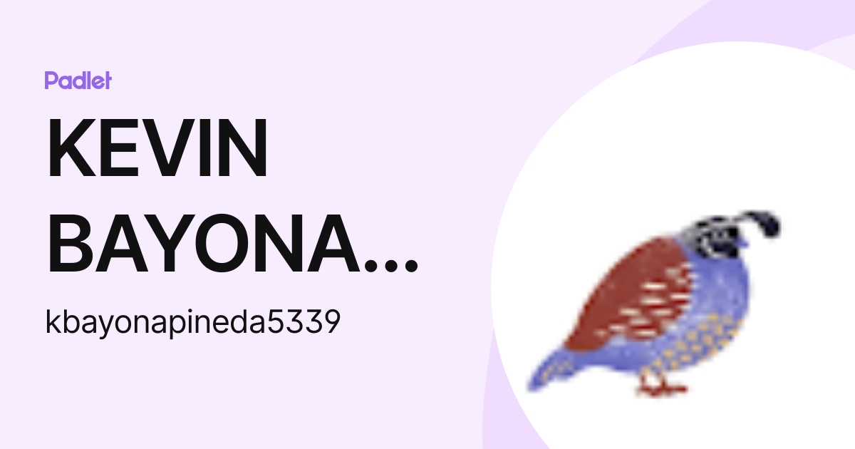 KEVIN BAYONA-PINEDA (kbayonapineda5339) profile | Padlet