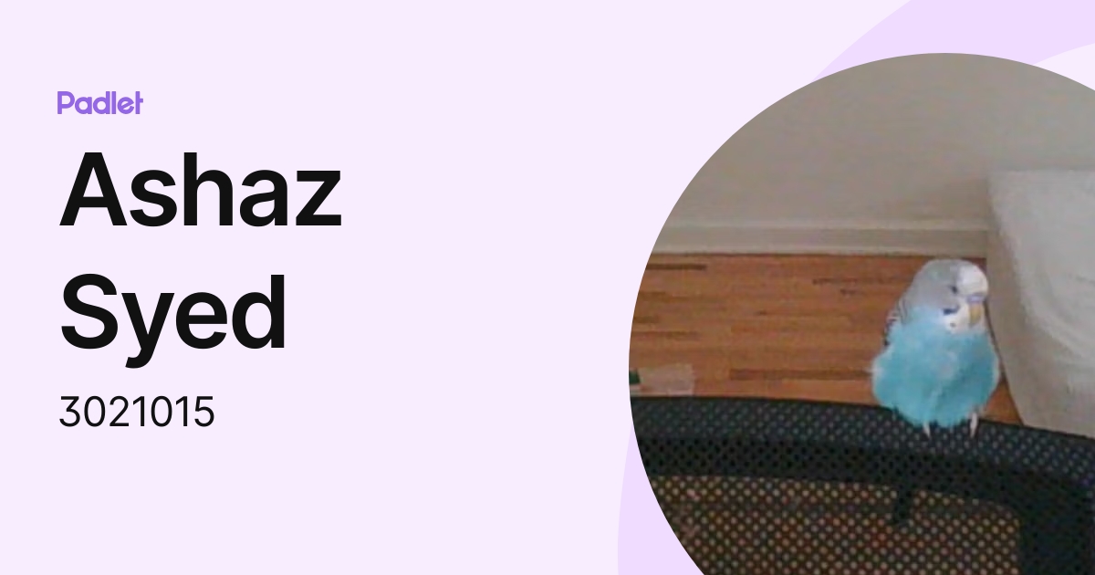 Ashaz Syed (3021015) profile | Padlet
