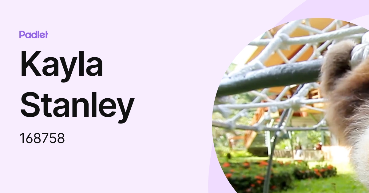 Kayla Stanley (168758) profile | Padlet