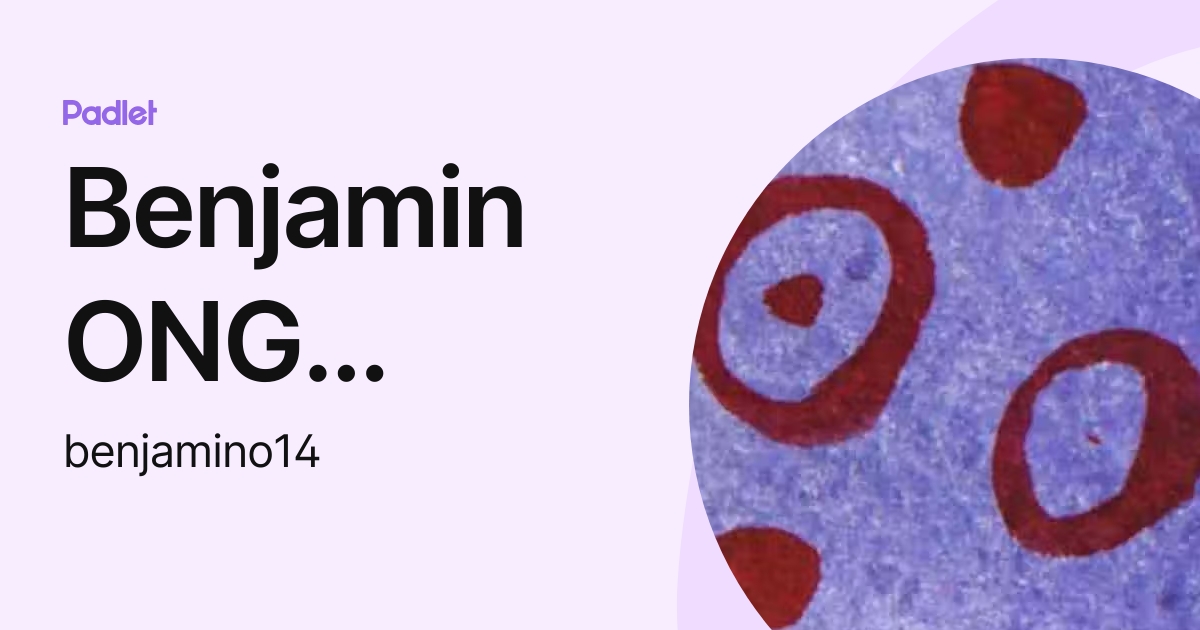 Benjamin ONG (NYP) (benjamin_ong2) profile | Padlet