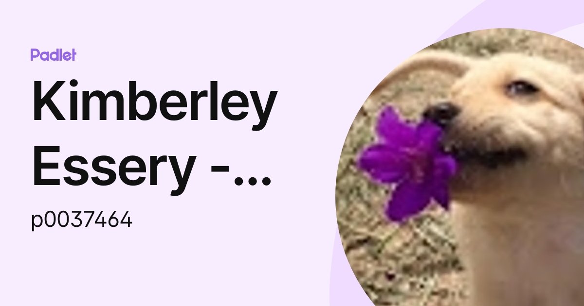 Kimberley Essery - Sunny View MS (1439) (p0037464) profile | Padlet